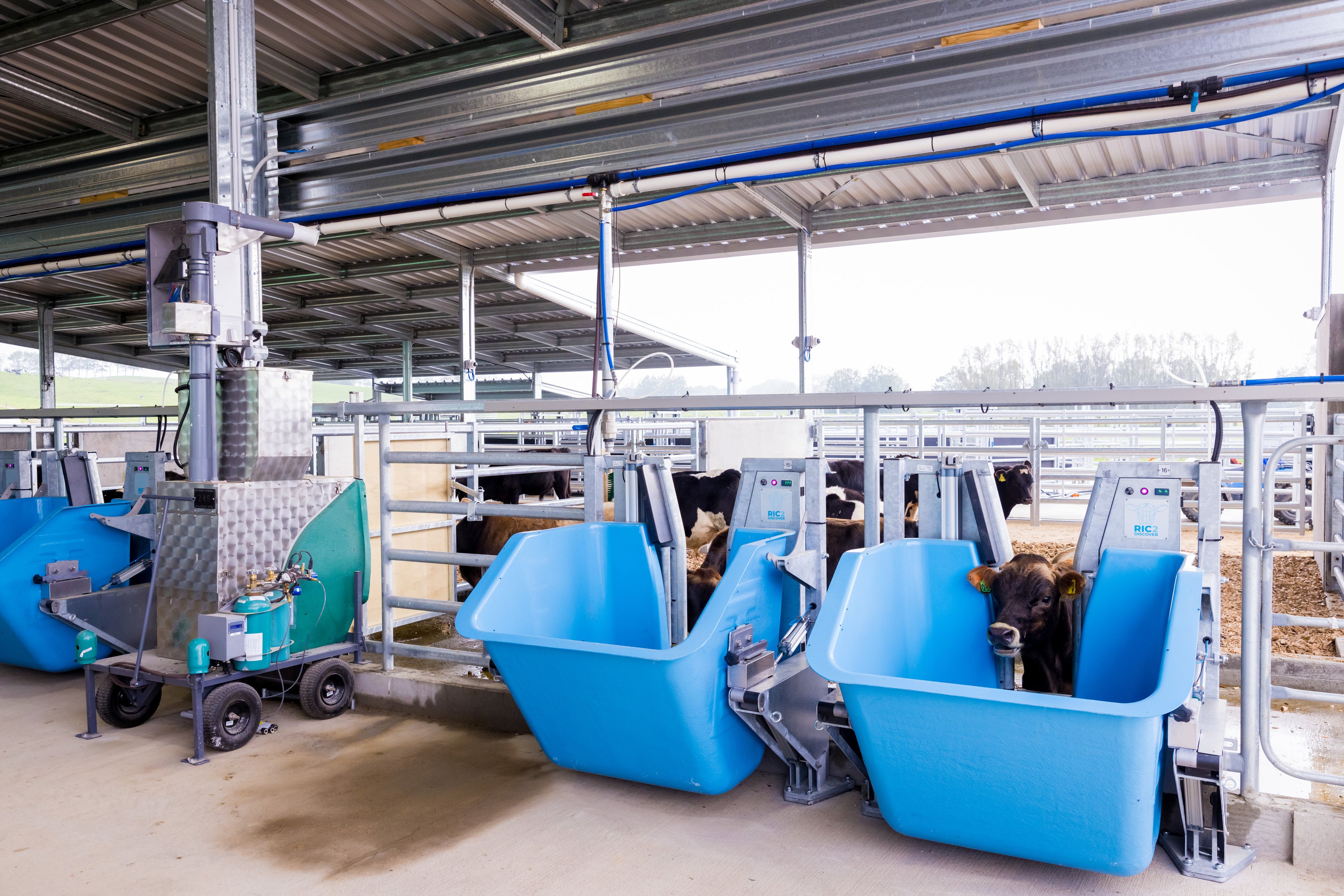 Reducing Cow Numbers Not The Only Option For A More Climate friendly