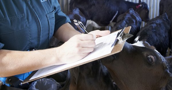 Animal health and DNA testing forms | LIC