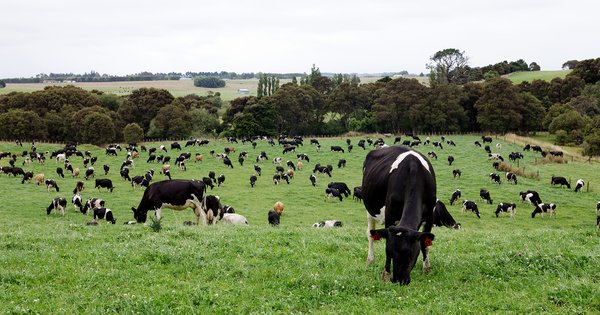 LIC strengthens partnership to support future farming leaders | LIC