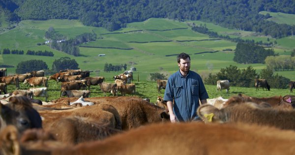 Faster genetic improvement with genomics | LIC